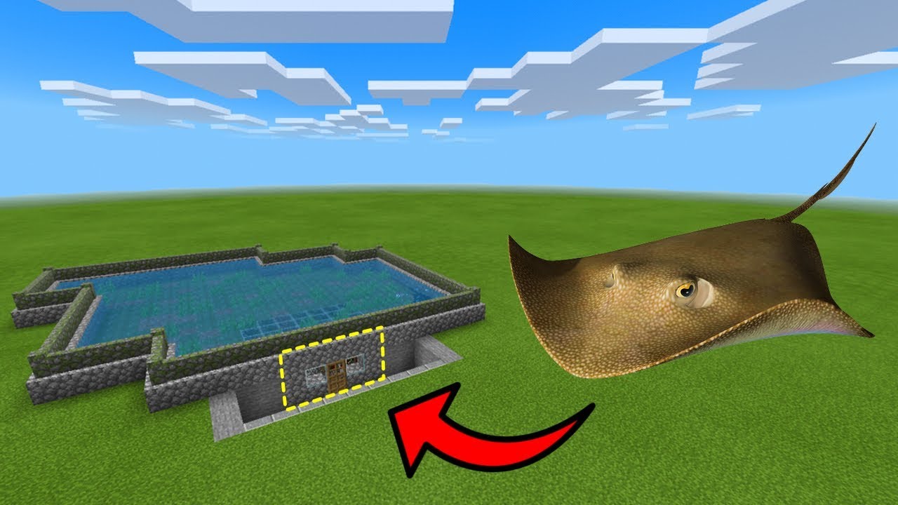 Minecraft Stingray