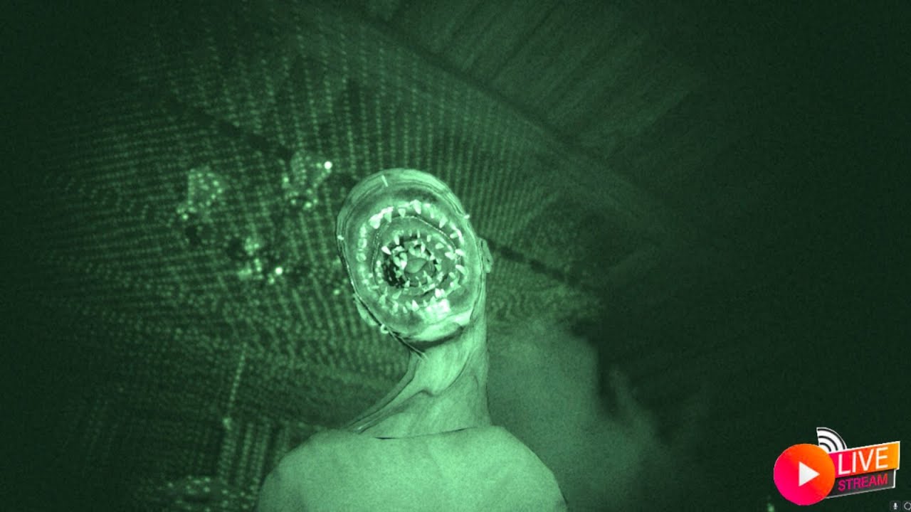 🔴LIVE| Hunting Ghosts Phasmophobia | CS2 | Soy Milk🥛 | #webcam - YouTube