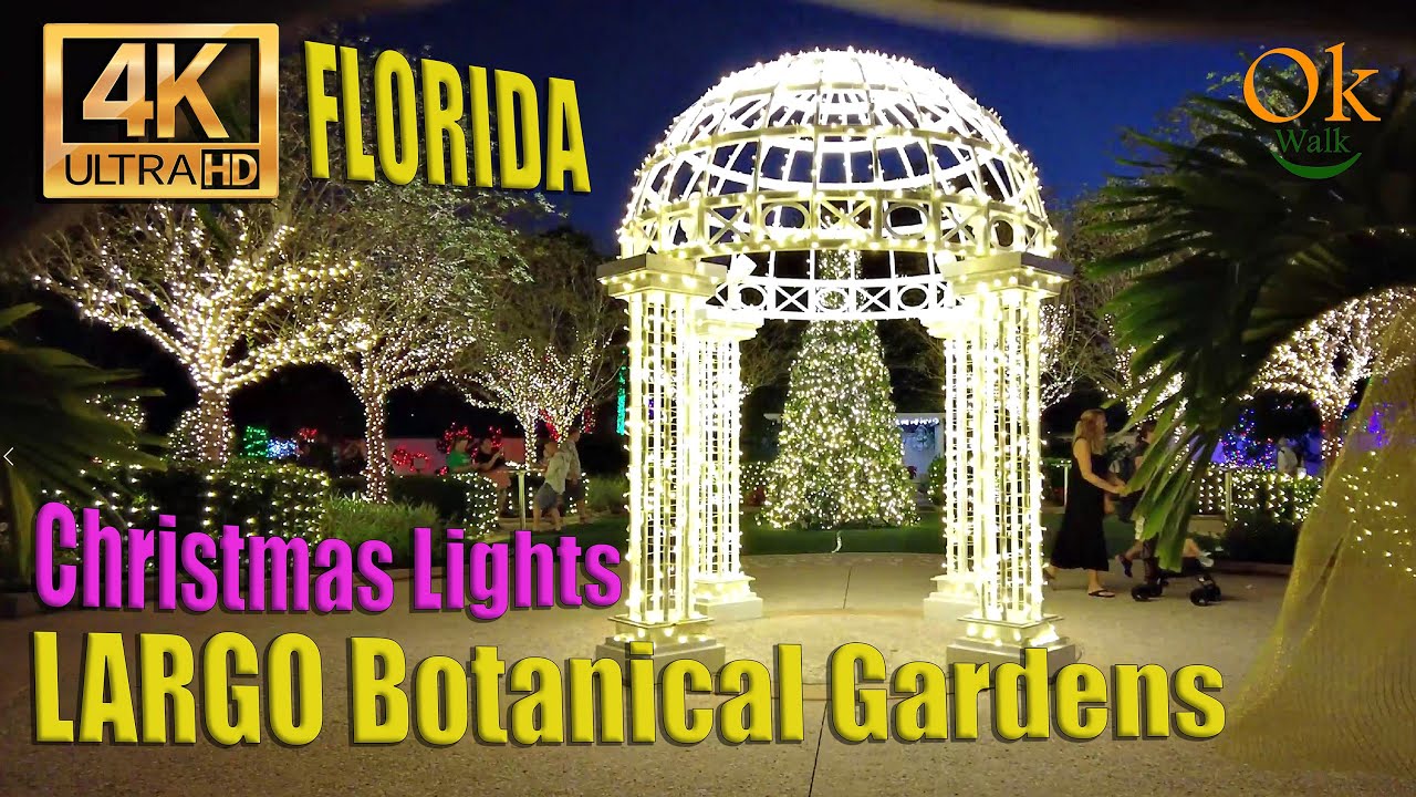 Florida Largo Botanical Gardens Christmas Lights 2022 - YouTube