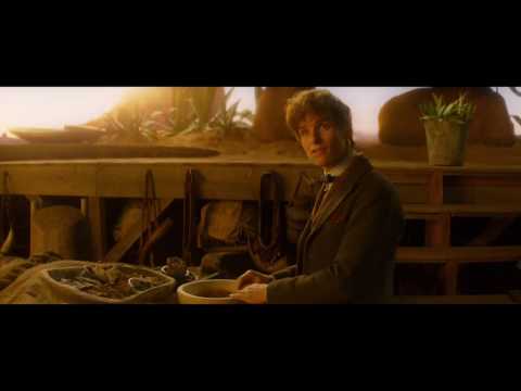 FANTASTIC BEASTS AND WHERE TO FIND THEM Movie Clip  -  Hogwash