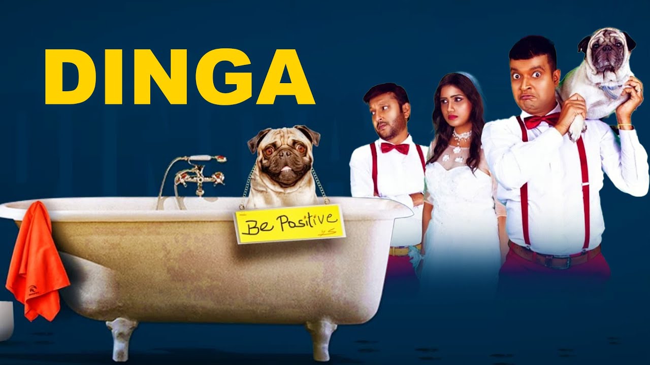 Dinga | New South Indian Full Movie In Hindi Dubbed | Aarva, Anusha ...