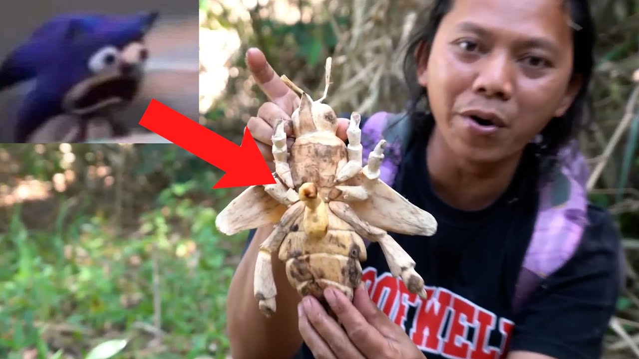 Dede Inoen Ngapain Jir...(Dede Inoen Ratu Lebah) - YouTube