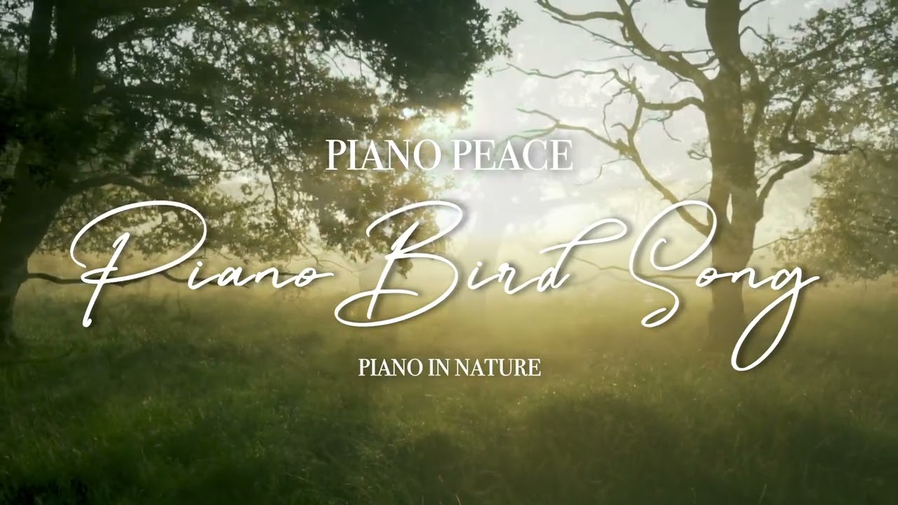 Piano Bird Song | Piano in Nature | Piano Music with Bird Sounds ...