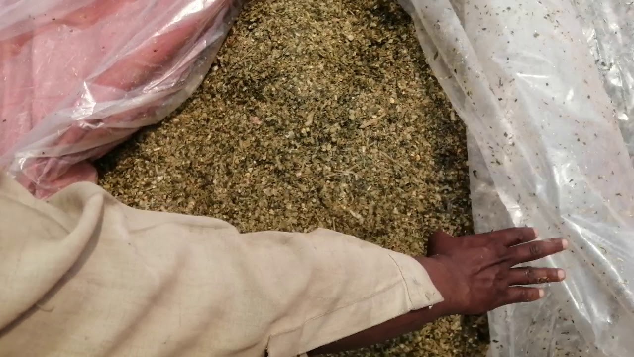 Silage Bunker open - YouTube