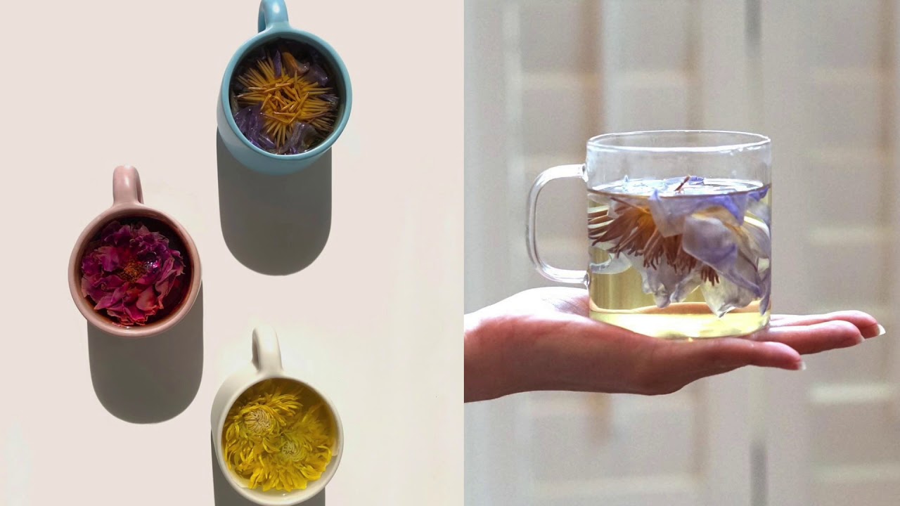 "The Qi" with Lisa Li - YouTube