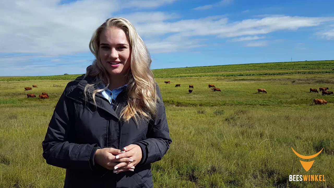 Beeswinkel Nasionale Bonsmaradag - Michelle Fourie - YouTube