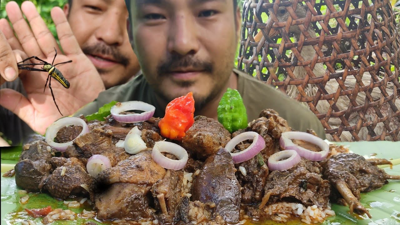 eating duck meat || duck meat recipe || jungle vlog. - YouTube
