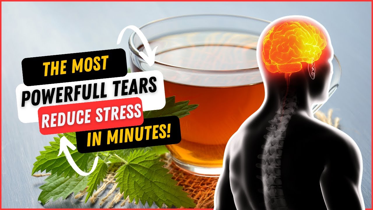 Discover the 7 most powerful teas to reduce stress in minutes! - YouTube