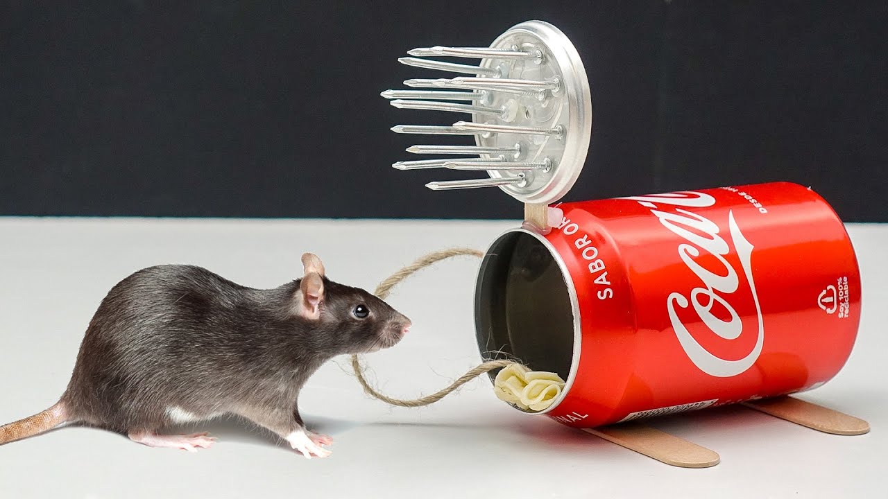 5 SIMPLE INVENTIONS - YouTube