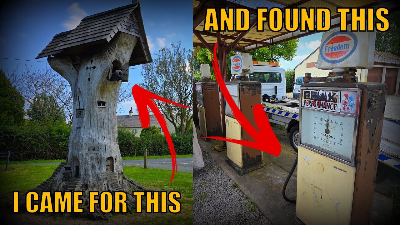 I Went To Explore An Enchanted Tree And Found A Hidden Gem 1950's ...