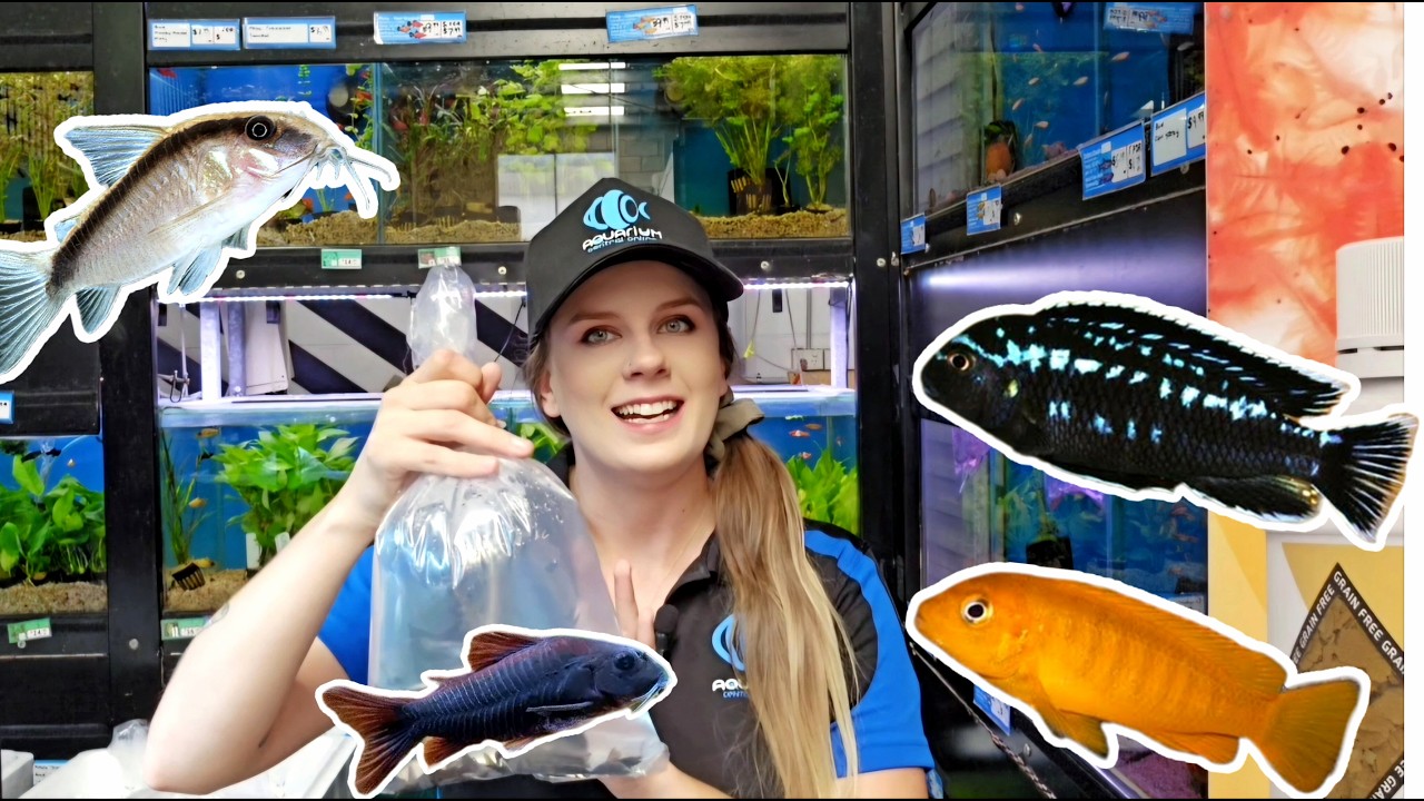 Aquarium Products: Live Fish, Live Plants | Aquarium Central
