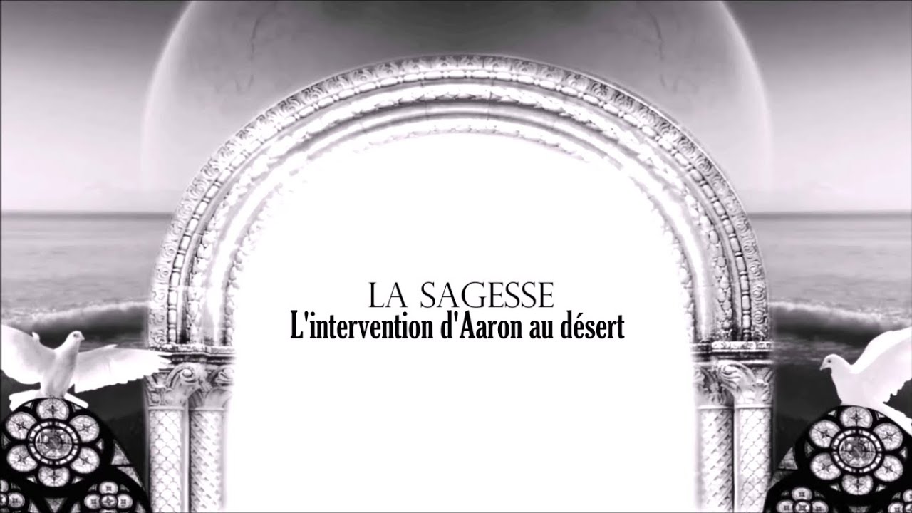 L'intervention d'Aaron au désert - YouTube