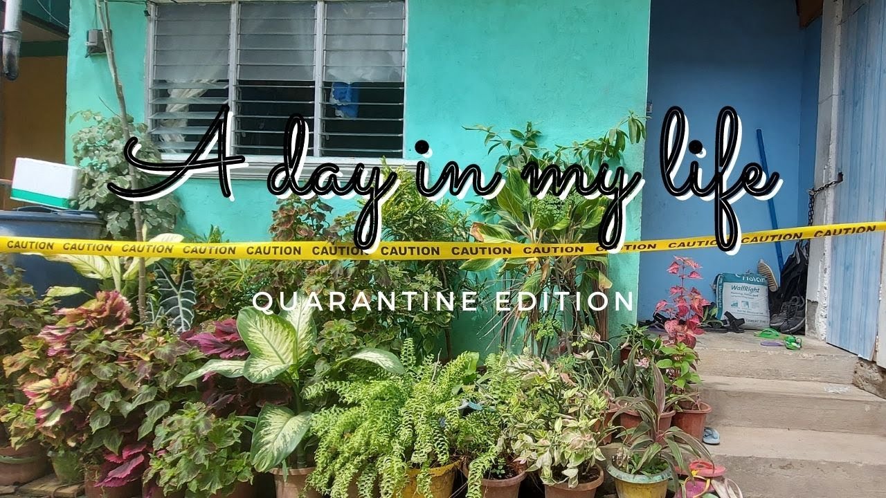 A Day In My Life Quarantine Edition | JoyAnn's Vlog - YouTube