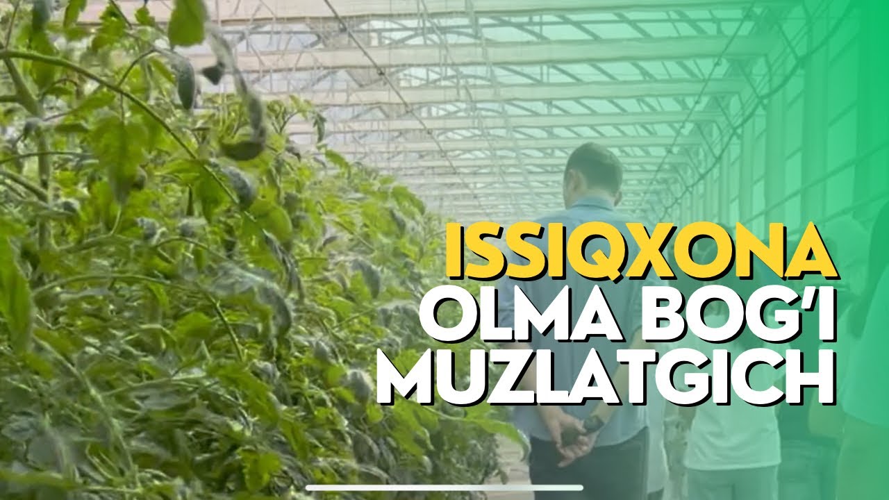 ISSIQXONA, OLMA BOG’I, MUZLATGICH! Talabalar amaliyoti. - YouTube