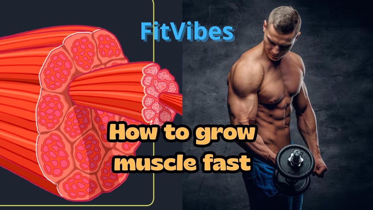 How to Build Muscle FAST – Science-Backed Tips for Insane Gains! - YouTube