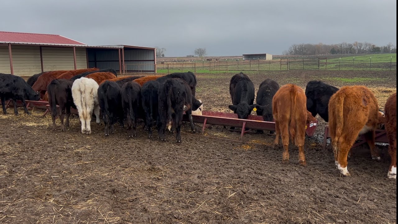 Finding A Different Engrained Purpose - YouTube