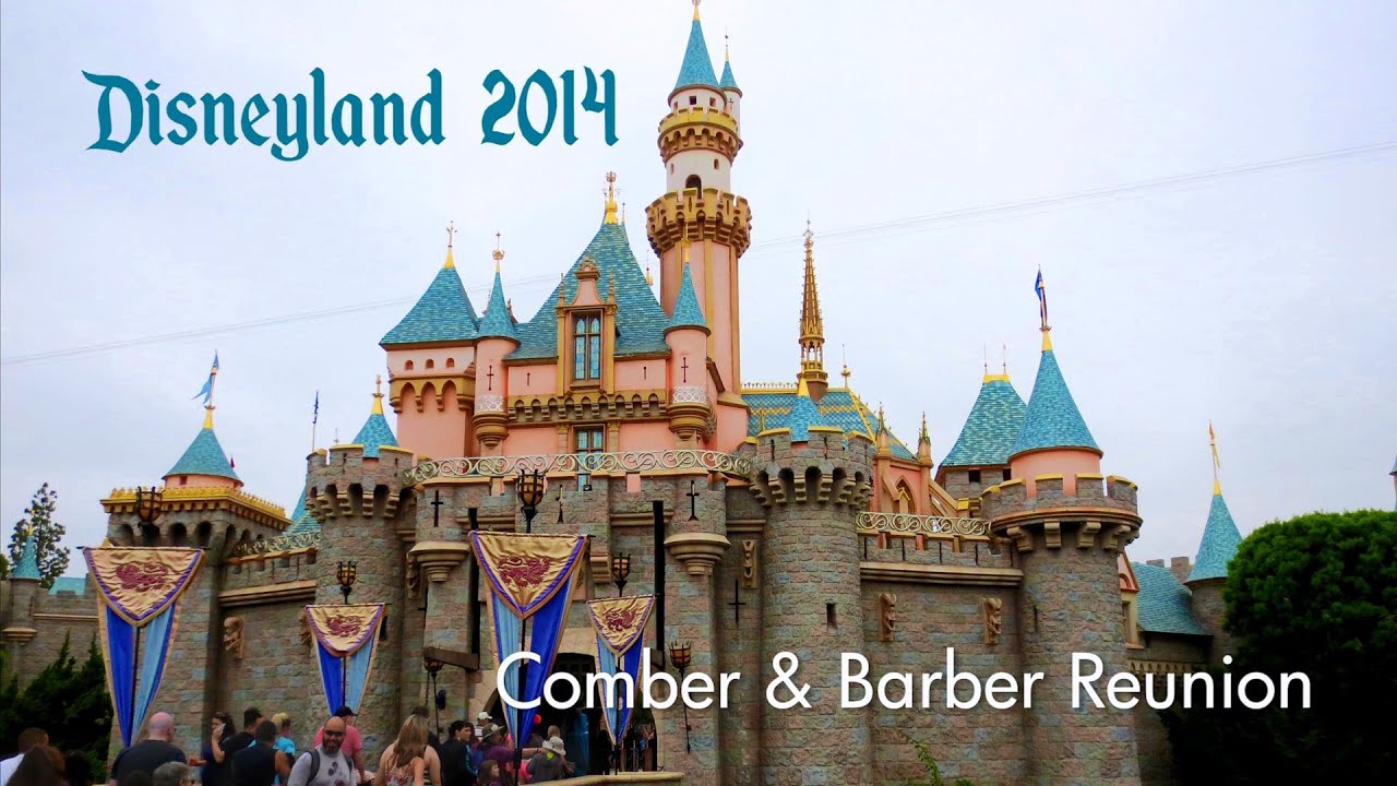 Disneyland June 2014 Reunion - YouTube