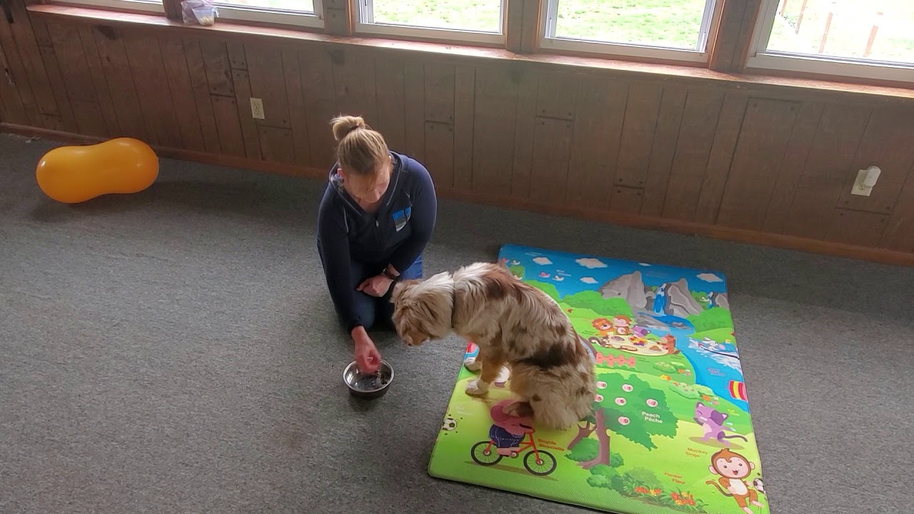 Lesson #2 - IYC & Collar Grab Game - YouTube