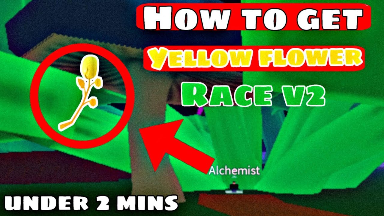 Where to Find Yellow Flower in Blox fruits | Alchemist quest | Race V2 ...