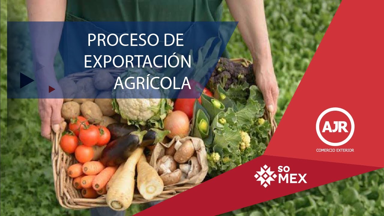 🥭 TOP 10 Alimentos Exportados de México 🍋 | Cosechando Negocios - YouTube