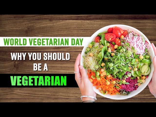 Why You Should Be A Vegetarian