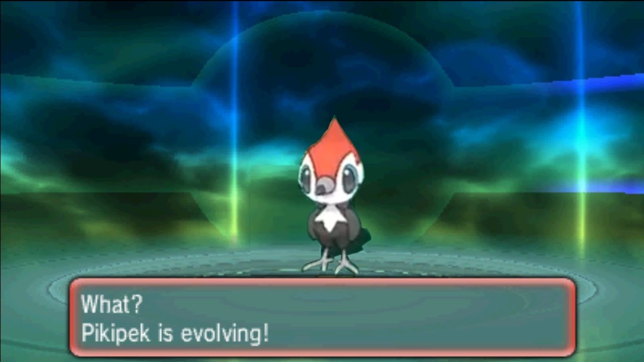 Pokémon sun and moon Pikipek evolution. - YouTube