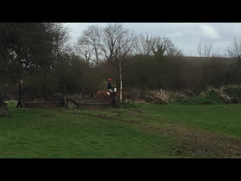 Rathmorrissey Squatter XC schooling with 16yo girl