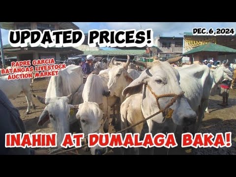 UPDATED PRICES DUMALAGA AT INAHING BAKA/DEC 6,2024/PADRE GARCIA ...