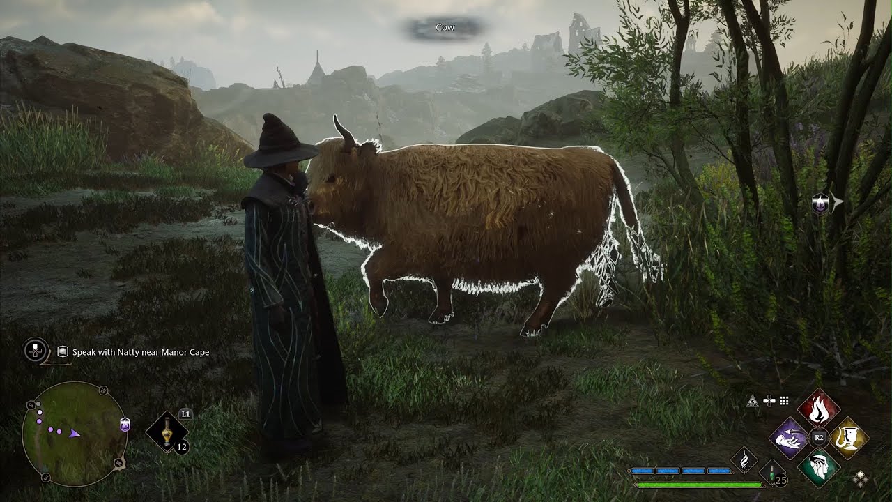 Hogwarts Legacy - What happen if you use transfiguration spell in a cow ...