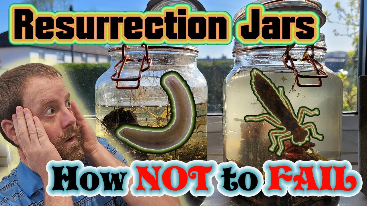 How To Succeed at RESURRECTION JARS! - YouTube
