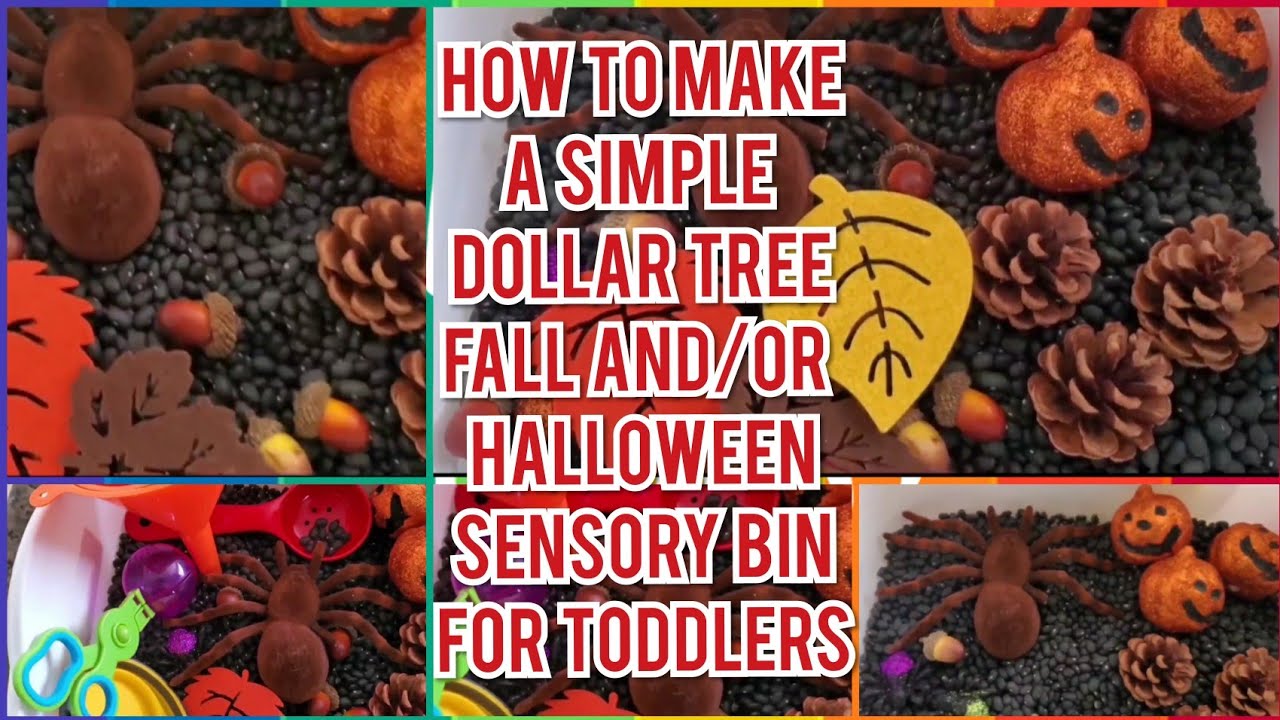 HOW TO MAKE A SIMPLE DOLLAR TREE FALL AND/OR HALLOWEEN SENSORY BIN FOR ...