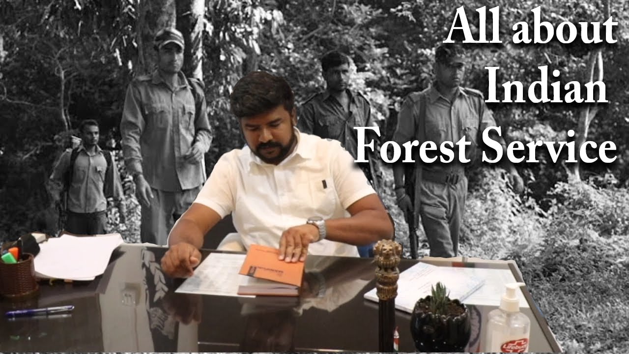A day with an IFS Officer | Indian Forest Service | IFoS Lifestlye ...