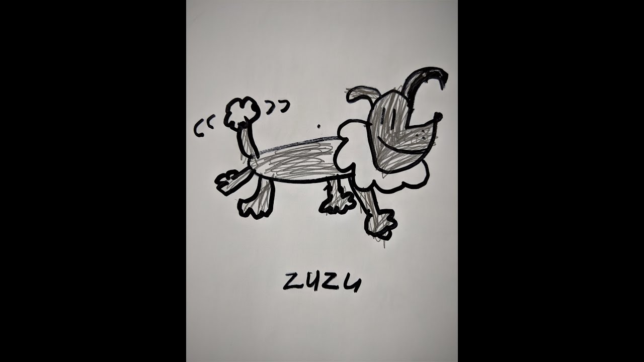 How to draw Zuzu character from Dogman by a kid - Simple Art work for ...