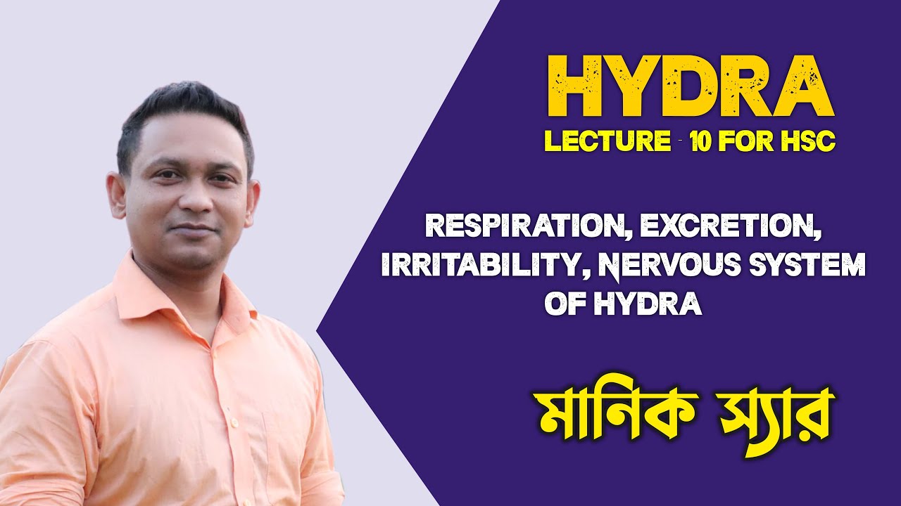 Hydra lecture-10 || Respiration, Excretion, Irritability, Nervous ...