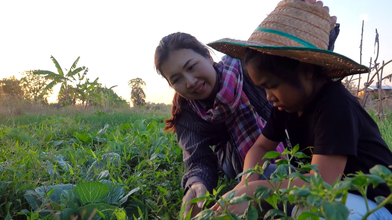 Future Of Food Preferred Future State - YouTube