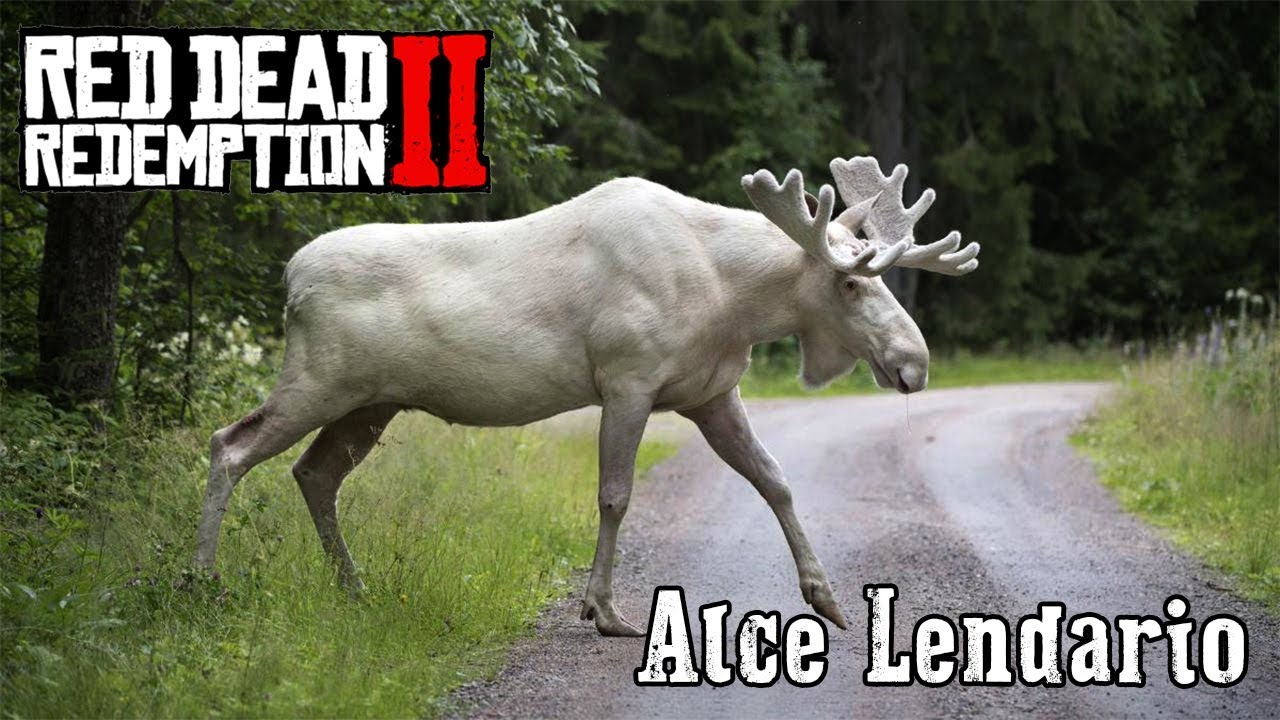 Red Dead Redemption 2 - Alce Lendário (Localização) - YouTube