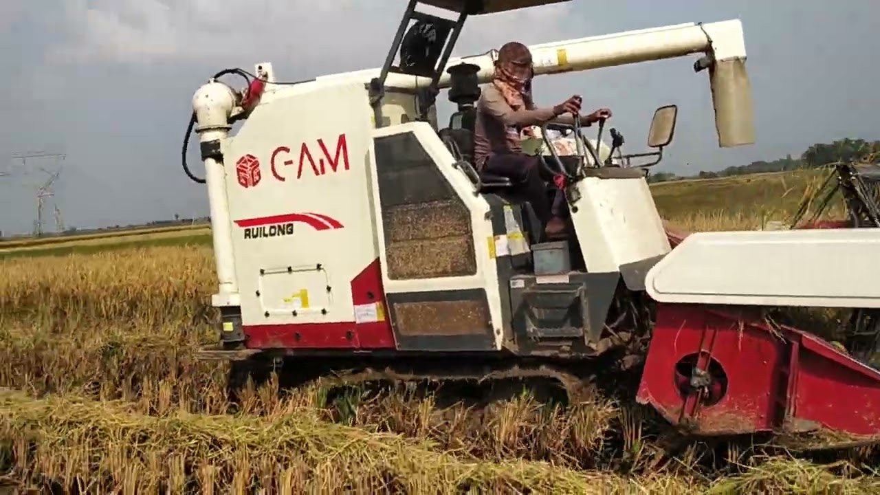 Gam multicrop harvester,Chain harvester, Small machine - YouTube