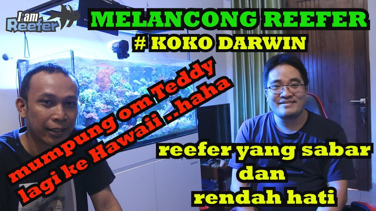 ALL ABOUT REEFING | MELANCONG REEF KE OM DARWIN REEFER DI GUNUNG SINDUR ...