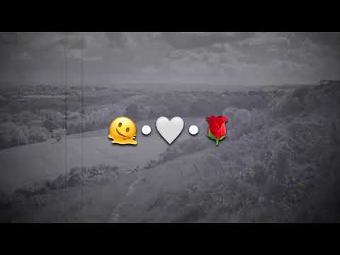 ❤️🕊️Sevgi videoları İnstagram videoları Whatsapp üçün video Status videoları#keşfet#trending#music
