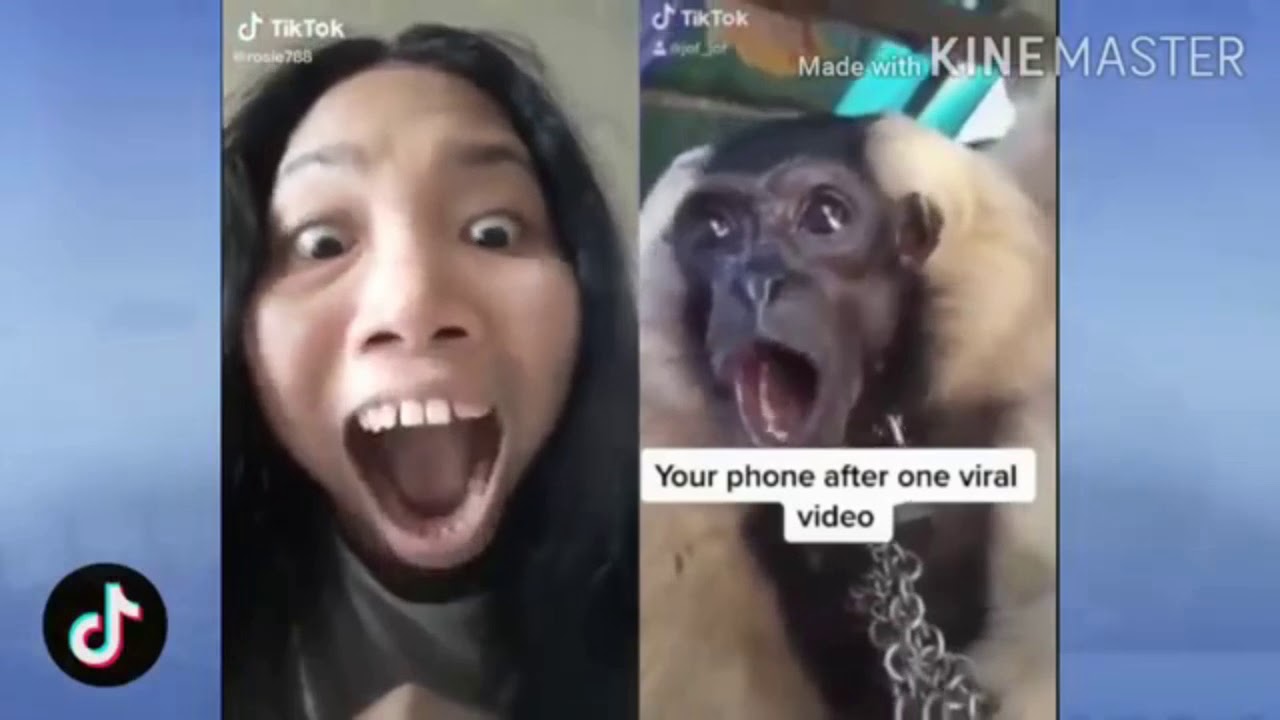 TikTok Videos: FUNNY PINOY KALOKOHAN MEMES GOOD VIBES COMPILATION #2 ...