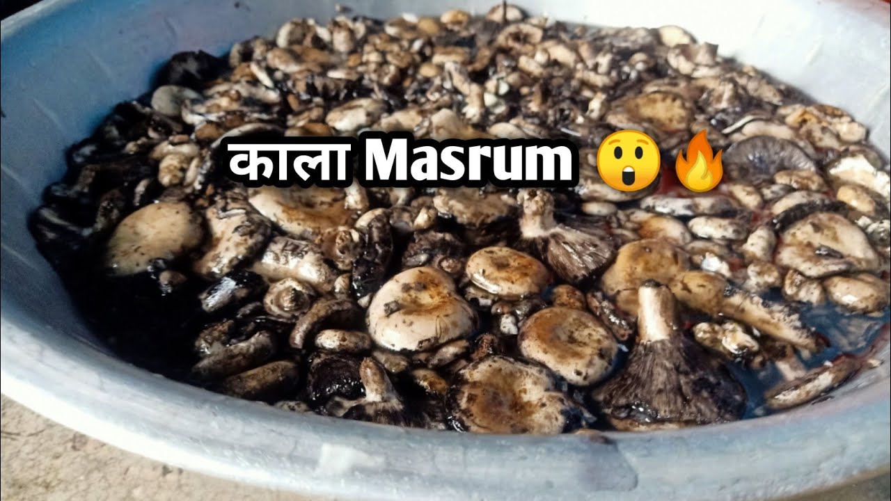 Black Masrum😲🔥 - YouTube