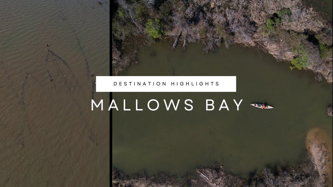 Mallows Bay Charles County Maryland - YouTube