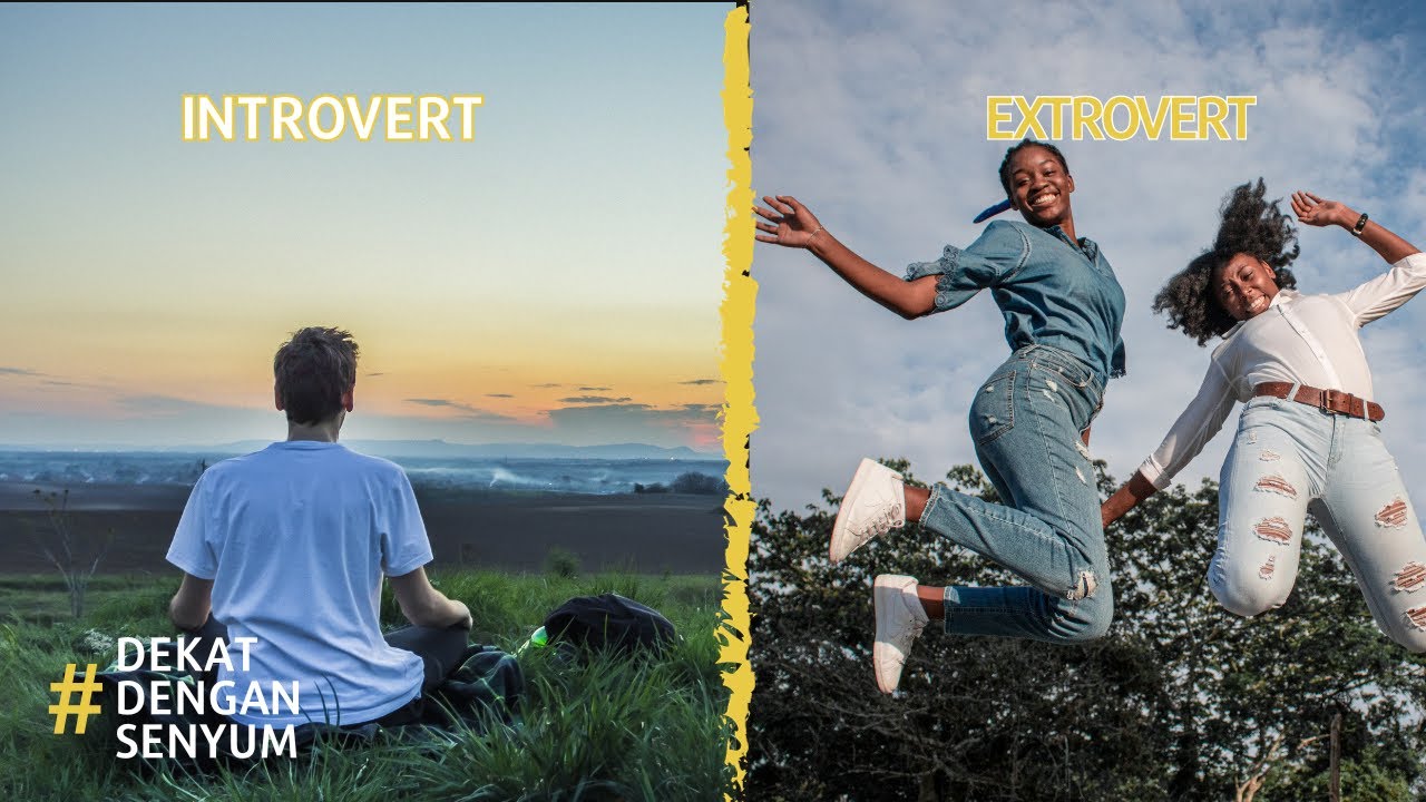 Introvert vs Extrovert : Di balik kediaman dan Kegiatan sosial, Apa ...