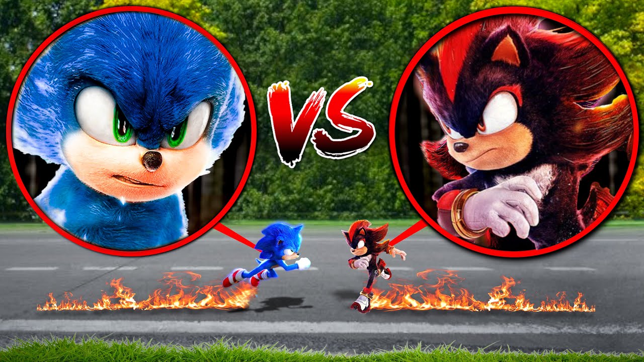 SONIC FIGHTS SHADOW THE HEDGEHOG IN REAL LIFE!! - YouTube