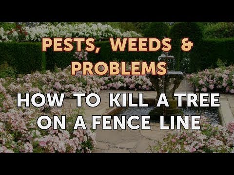 How to Kill a Tree on a Fence Line - YouTube
