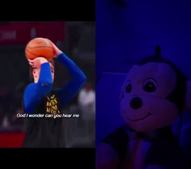 Monkey reacts part-1 #nba #basketball #pologedits #edit #sports # ...