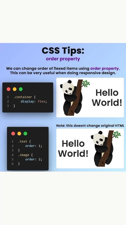 Css Csscoding Cssanimation Css3course Csstricks Csstips Html