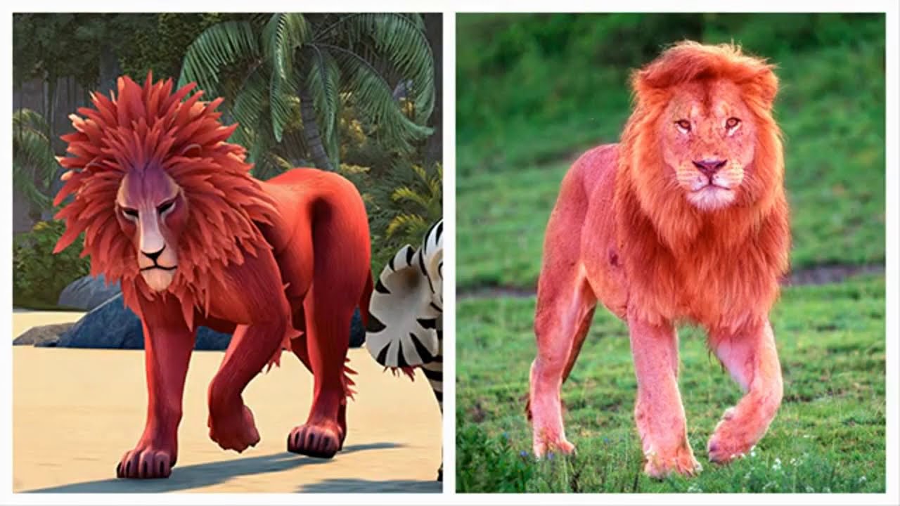 Zafari Characters in Real Life | Rania Toy House - YouTube