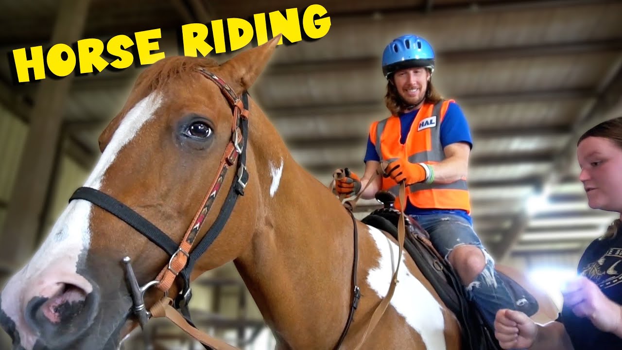 Horses for Kids | Horse back Riding Lessons - YouTube