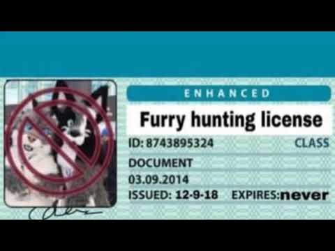 Furry Hunting license - YouTube